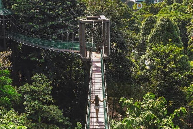 Kuala Lumpur Historical Chinatown Tour (Private Half Day) - Exploring Kuala Lumpur’s Green Oasis: The KL Forest Eco Park