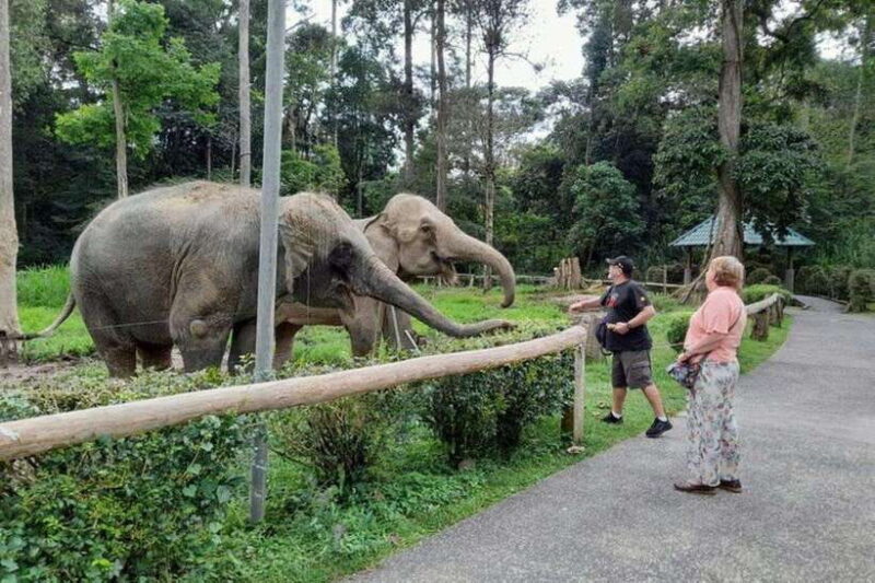 Kuala Lumpur: Kuala Gandah and Batu Caves Private Trip - Key Points