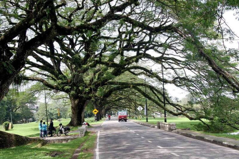 Kuala Lumpur: Private Half-Day City Tour - Transport and Practical Details