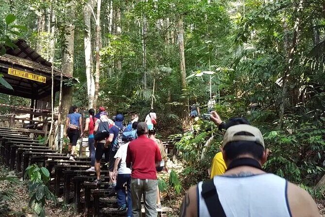 Kuala Lumpur to Taman Negara Shuttle - The Essentials of the Kuala Lumpur to Taman Negara Shuttle