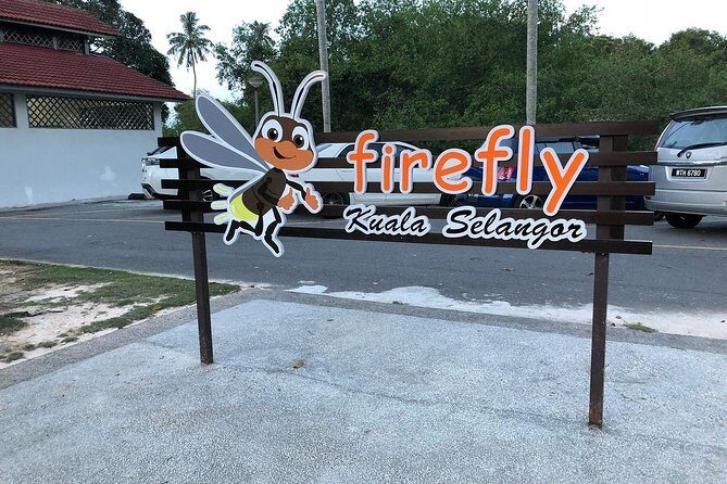 Kuala Selangor Fire Fly Tour - Sharing - Who Should Consider This Tour?