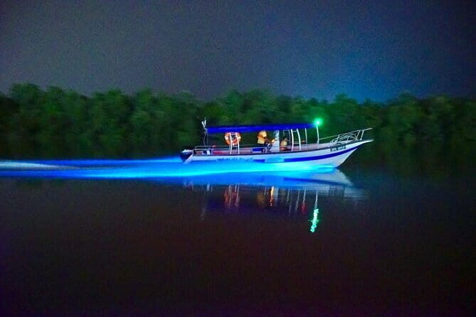 Kuala Selangor Fireflies and Blue Tears Tour with Dinner (SIC) - What to Expect from This Tour
