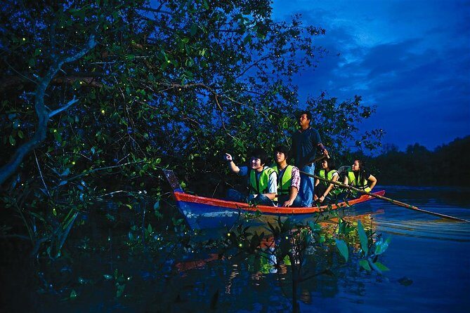 Kuala Selangor Fireflies & Nature Escape  From Kuala Lumpur - Analyzing the Experience: What Works Well