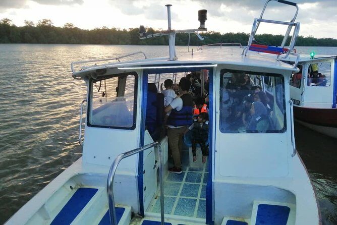Kuala Selangor Fireflies Tour (Special Deal) - Final Thoughts: Who Is This Tour For?