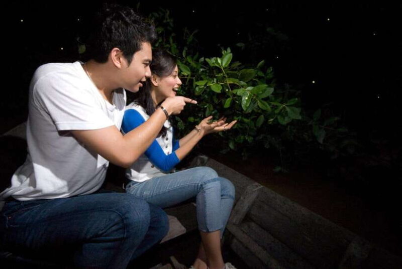 Kuala Selangor: Firefly and Blue Tears Tour - The Sum Up