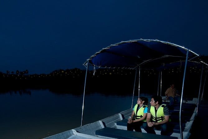 Kuala Selangor Firefly Blinkings Private Tour with Seafood Dinner - Key Points