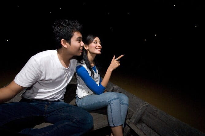 Kuala Selangor Firefly Blinkings Private Tour with Seafood Dinner - Practical Aspects and Value