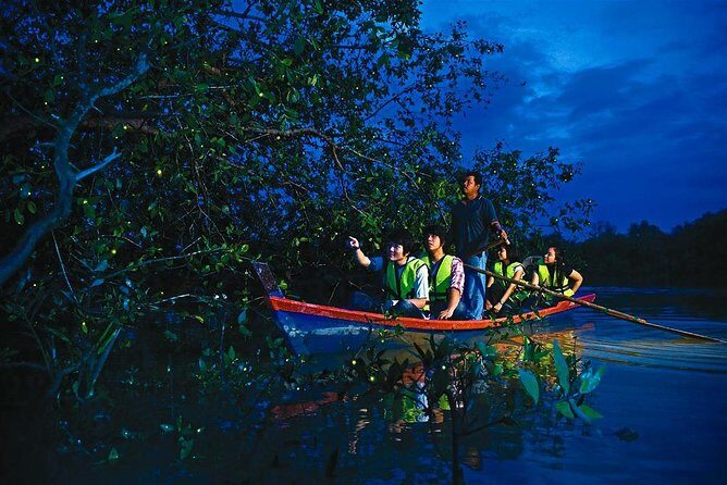 Kuala Selangor Wildlife & Fireflies Night Tour with Dinner - Key Points