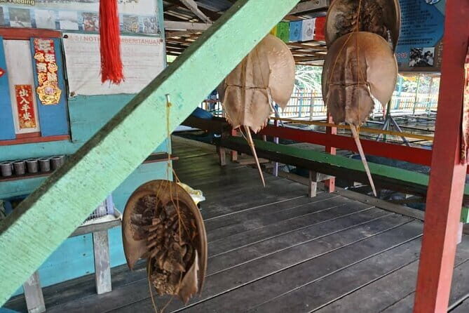 Kuala Sepetang Private Day Tour From Ipoh - Who Would Love This Tour?