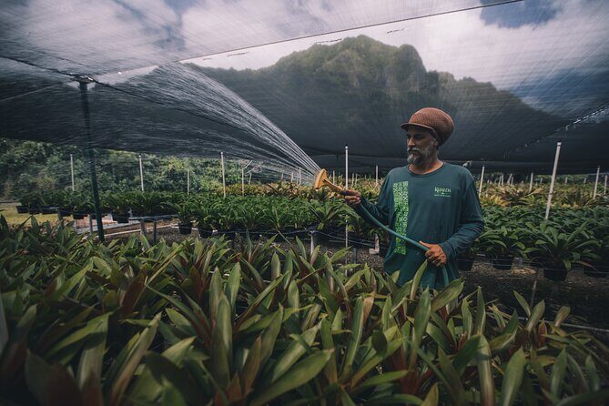Kualoa Ranch - Kualoa Grown Tour - Practical Details and Tips