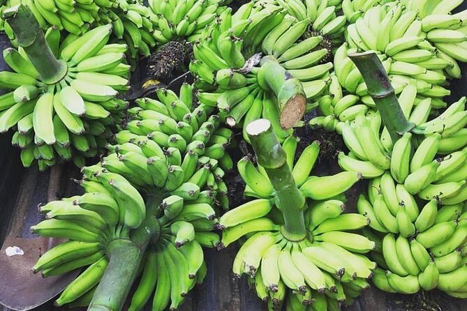 Kualoa Ranch - Kualoa Grown Tour - Who Will Enjoy This Tour?