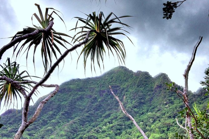 Kualoa Ranch: Novice E-Bike - Customer Reviews and Ratings