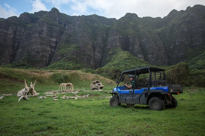 Kualoa Ranch UTV Raptor Tour - Who Should Book This Tour?