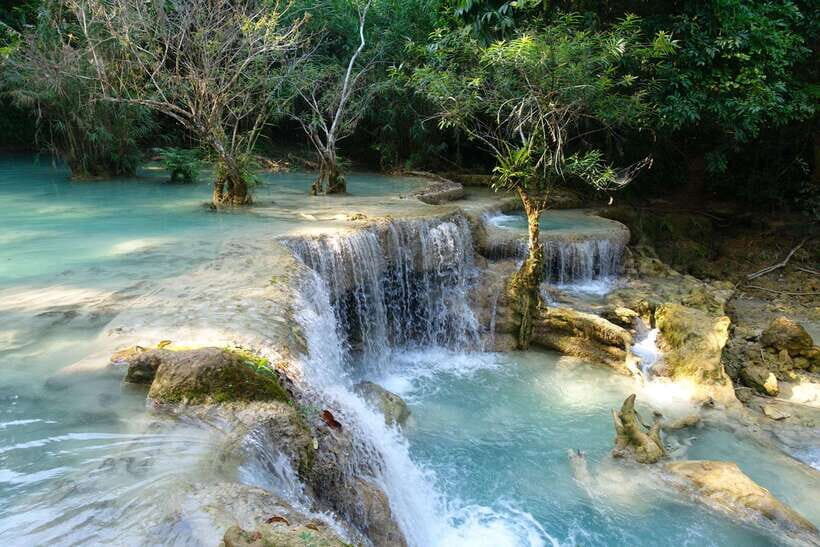 Kuang Si waterfall & Tree house - Real Visitor Feedback and Insights