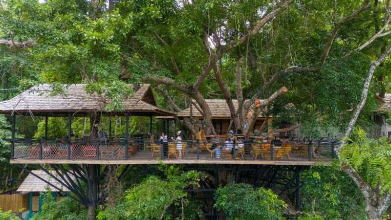 Kuang Si Waterfall, Tree Top Cafe, Ziplining - What Travelers Say