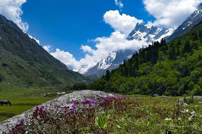 Kuari Pass Trek- 8 Days - Frequently Asked Questions