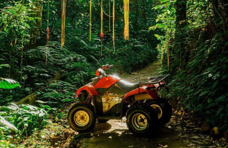 Kuber ATV Bali Through Waterfall and Long Tunnel - FAQ
