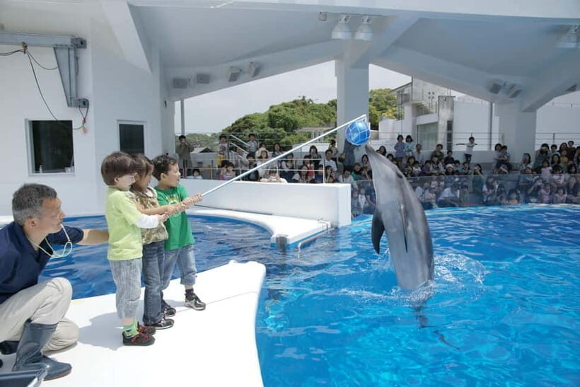 Kujukushima: Aquarium Umikirara Admission Ticket - A Detailed Look at the Kujukushima Aquarium Umikirara Experience