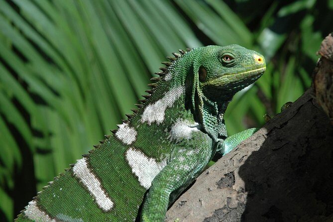 Kula Eco Park Admission - An In-Depth Look at Kula Eco Park