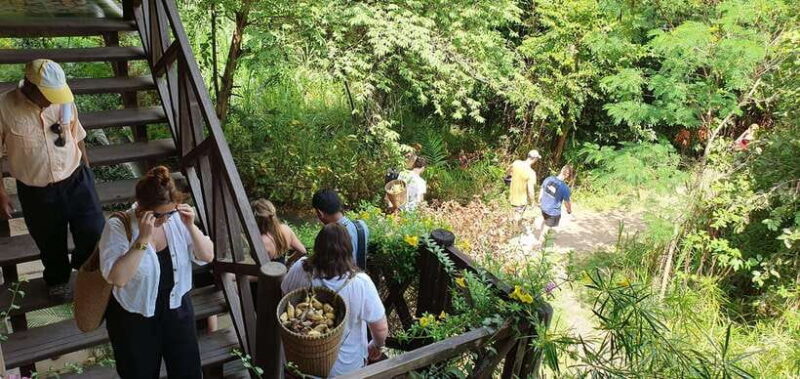 Kulen Elephant Forest and Banteay Srei Temple Tour - FAQ