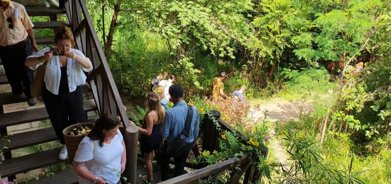 Kulen Elephant Forest and Banteay Srei Temple Tour - Final Thoughts