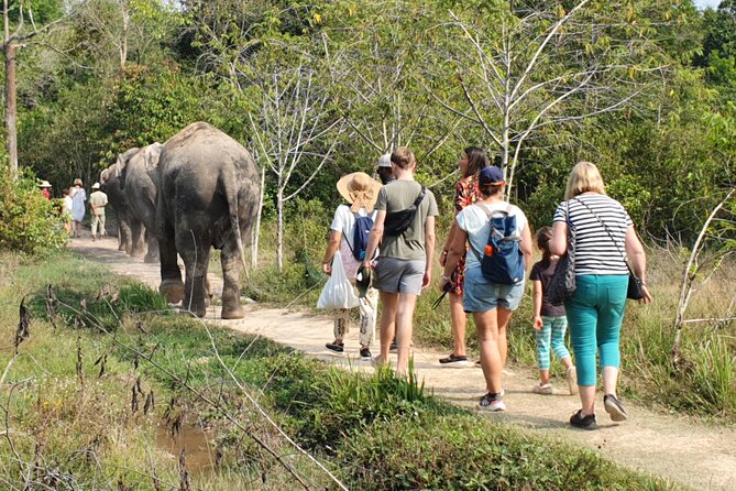 Kulen Elephant Forest by private tour - Final Wrap-Up