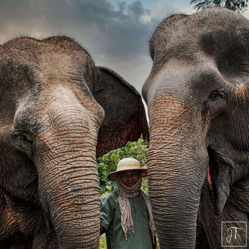 Kulen Elephant Forest & Tonlesap Lake Include boat /Transfer - The Sum Up