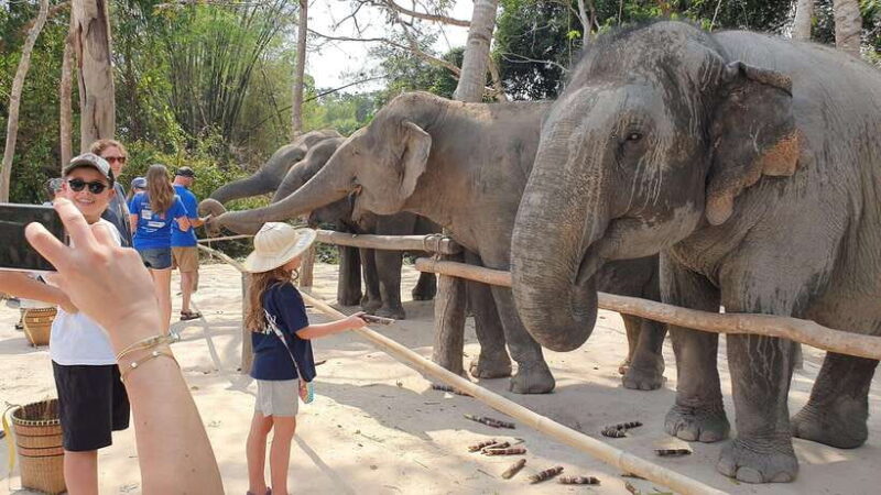 Kulen Elephant Forest & Tonlesap Lake - Key Points