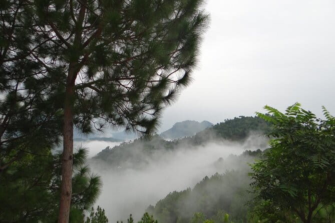 Kullu, Manali & Shimla Private Tour - A Detailed Look at the Itinerary