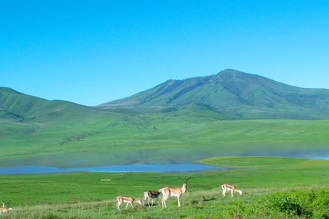 Kumamoto Castle Kusasenrigahama and Mount Aso Tour From Fukuoka - Discovering Mount Aso