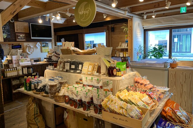 Kumamoto Castle Town Walking Tour With Local Guide - Highlights of the Walking Tour