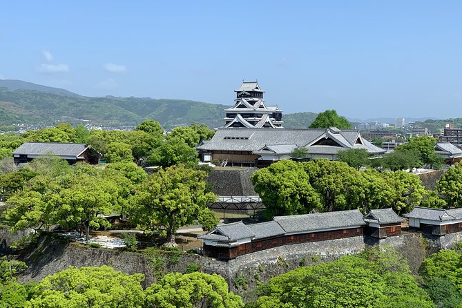 Kumamoto Castle Walking Tour With Local Guide - Tour Experience and Feedback