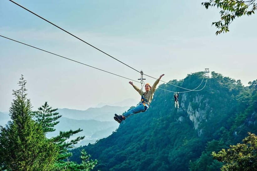 Kumamoto: Dolphin Watching and Zipline Experience Tour - Key Points