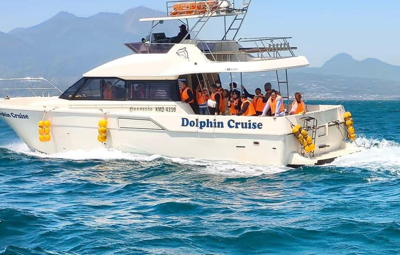Kumamoto: Dolphin Watching and Zipline Experience Tour - Who Will Love This Tour?