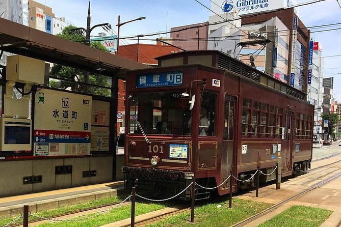 Kumamoto Full-Day Private Tour With Government-Licensed Guide - Booking and Additional Information