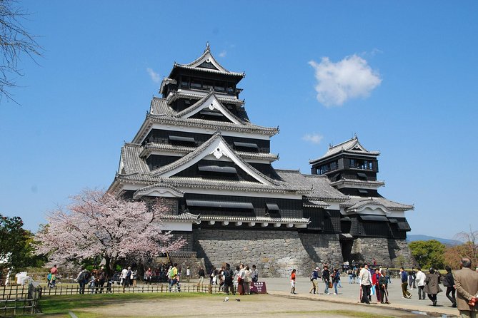 Kumamoto Private Customizable Full Day Tour - Transportation and Pickup Details