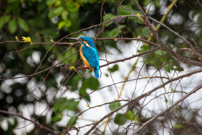 Kumana National park Full day safari - FAQ