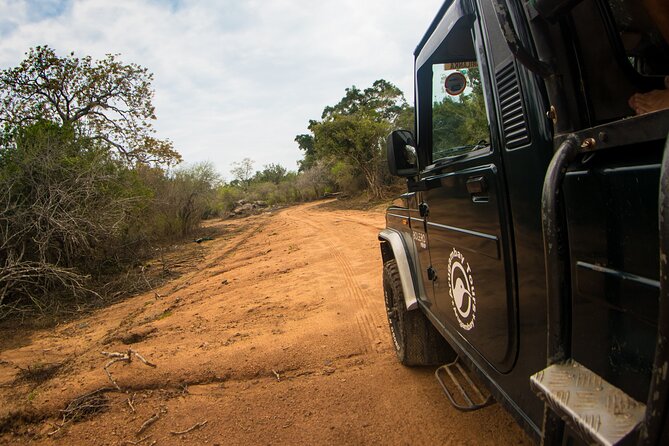 Kumana National Park Half Day Jeep Safari - Why Choose This Safari?