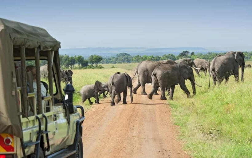 Kumana National Park Leopard Safari PRIVATE Tour - What We Like About the Kumana Safari
