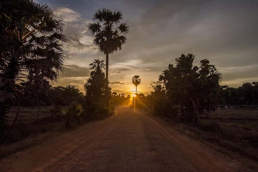 Kumana National Park Leopard Safari PRIVATE Tour - A Quick Look at the Drawbacks