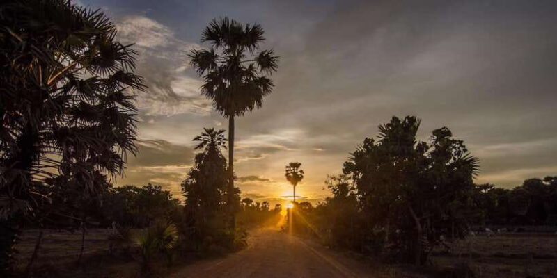 Kumana National Park: Morning or Afternoon Leopard Safari - Final Thoughts