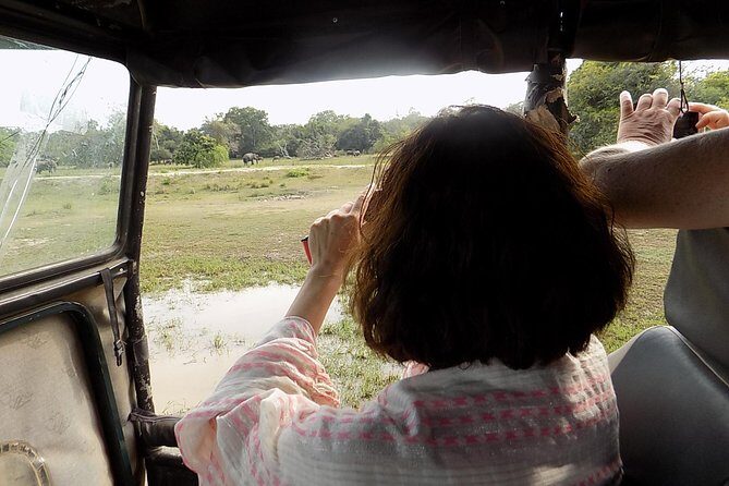 Kumana National Park Wildlife Safari - Exploring the Kumana National Park Wildlife Safari: A Bird-Watcher’s Dream