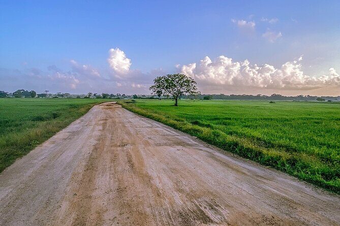 Kumana Safari Drive from Arugam Bay - Final Thoughts: Is It Worth It?