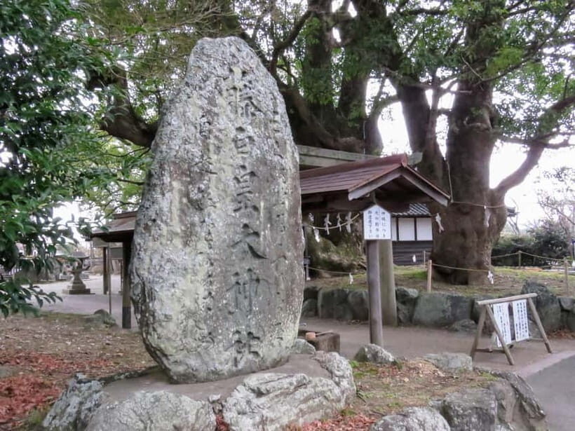 Kumano Kodo: Guided Kiiji Walking Tour in Kainan City - Exploring the Kumano Kodo Kiiji Route