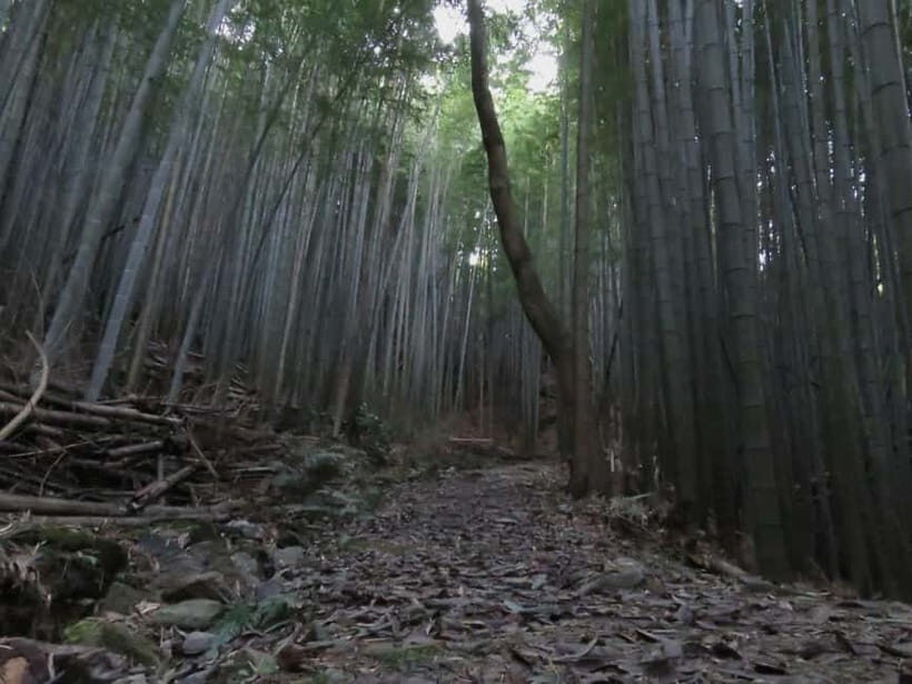 Kumano Kodo: Guided Kiiji Walking Tour in Kainan City - Visiting the Suzuki Residence