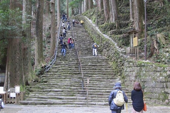 Kumano Kodo Half Day Daimonzaka and Nachi Taisha Tour - Discovering the History and Culture