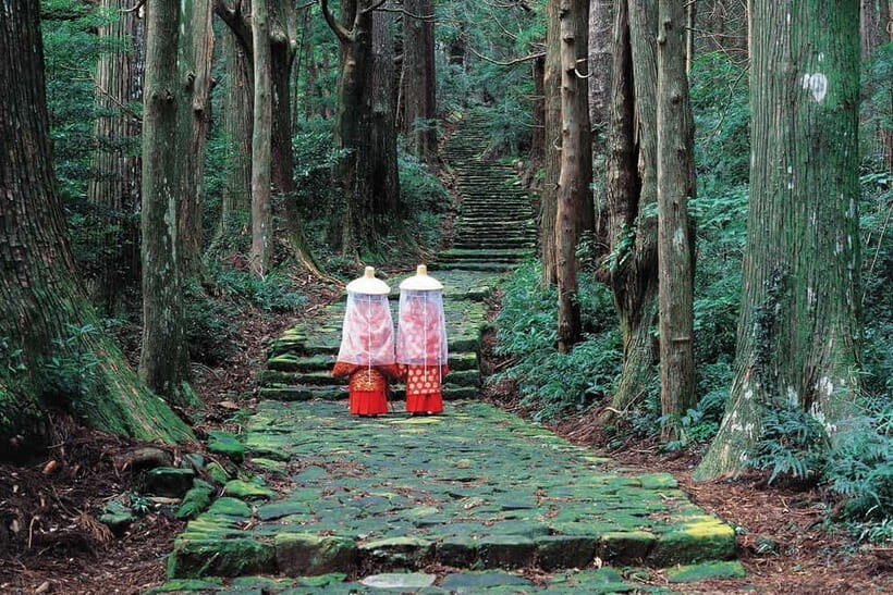 Kumano Kodo Hiking Day Tour from Osaka - Introduction: Discovering Kumano’s Sacred Trails in a Day