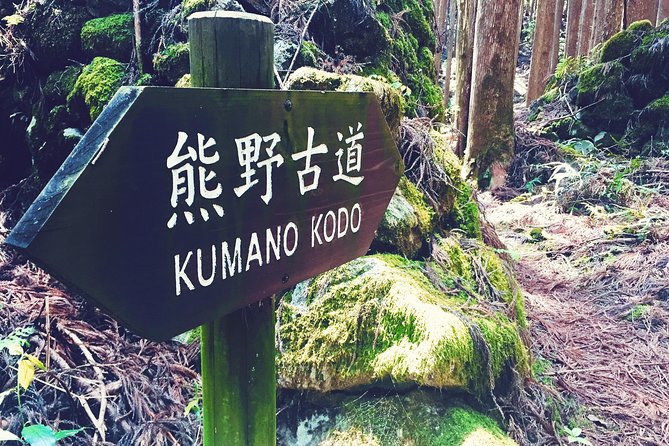 Kumano Kodo Pilgrimage Full-Day Private Trip With Government Licensed Guide - Licensed Local Guide