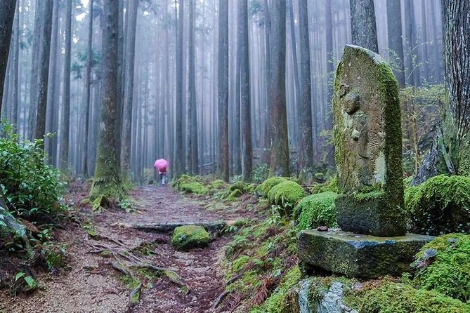 Kumano Kodo Pilgrimage Full-Day Private Trip With Government Licensed Guide - Booking and Cancellation Policy