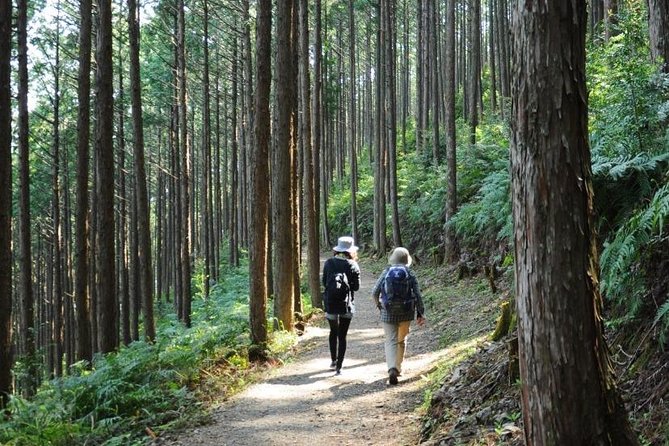 Kumano Kodo Pilgrimage Full-Day Private Trip With Government Licensed Guide - Guest Reviews and Ratings